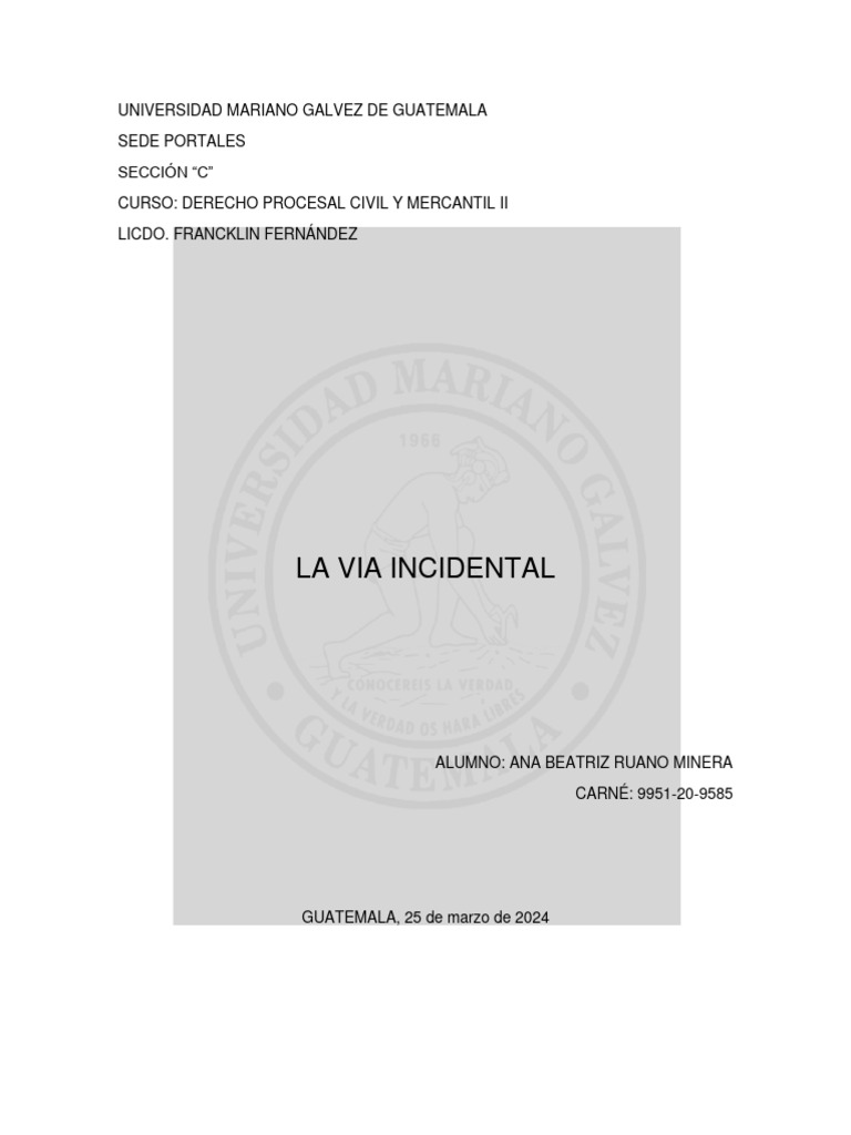 La Via Incidental | PDF | Ley procesal | Sentencia (ley)