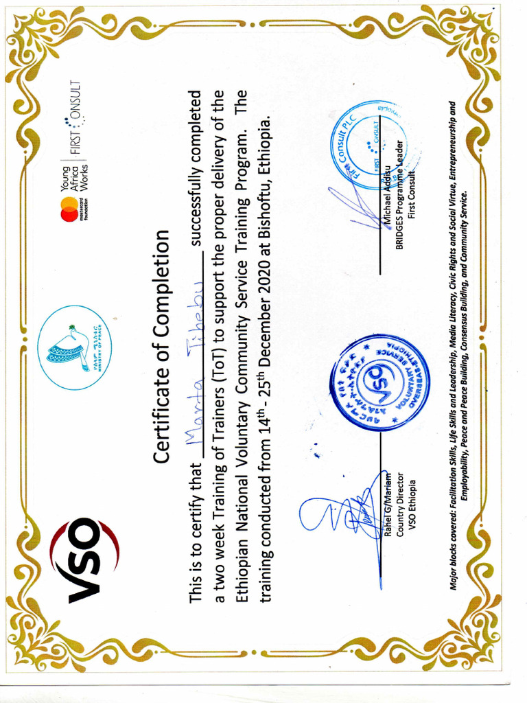 Certificate Vso | PDF
