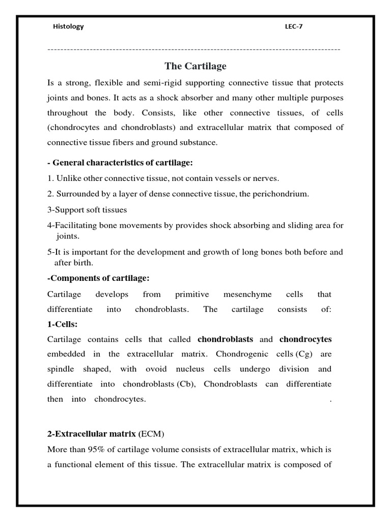 7-Cartilage | PDF | Cartilage | Extracellular Matrix