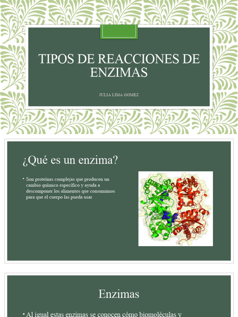 Tipos de Reacciones de Enzimas | PDF