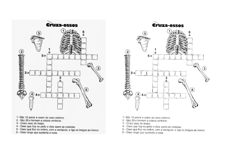 Atividade Cruza-Ossos | PDF