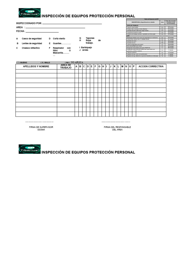 formato de epp_TIBERIUS | PDF | Moda | Ropa