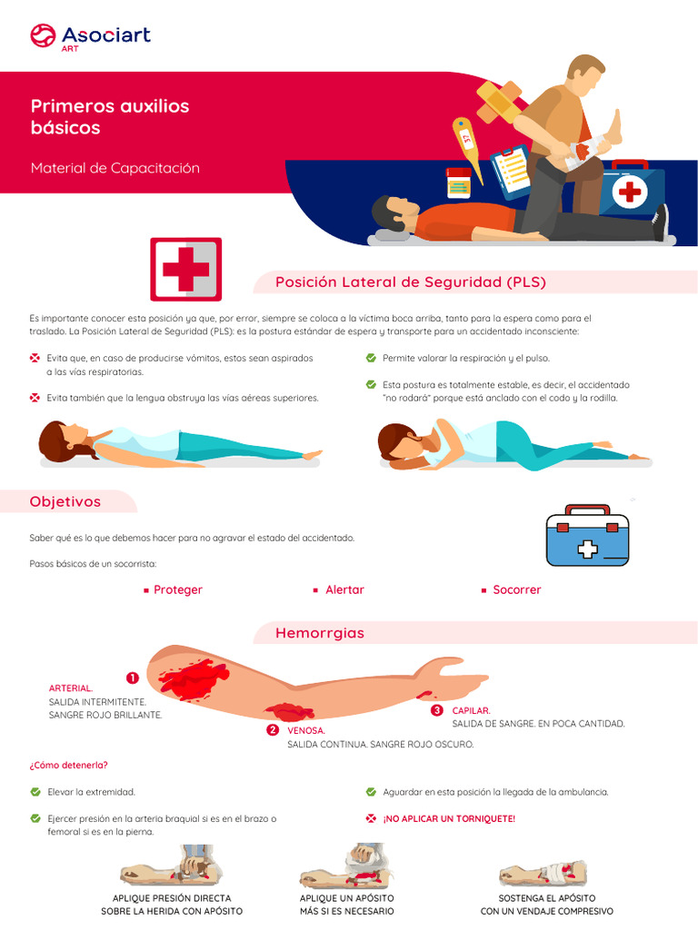 Guía de Primeros Auxilios y PLS | PDF | Quemar | Piel