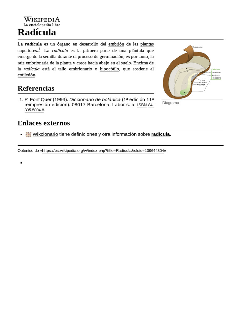 Radícula | PDF | Ciencia y matemáticas