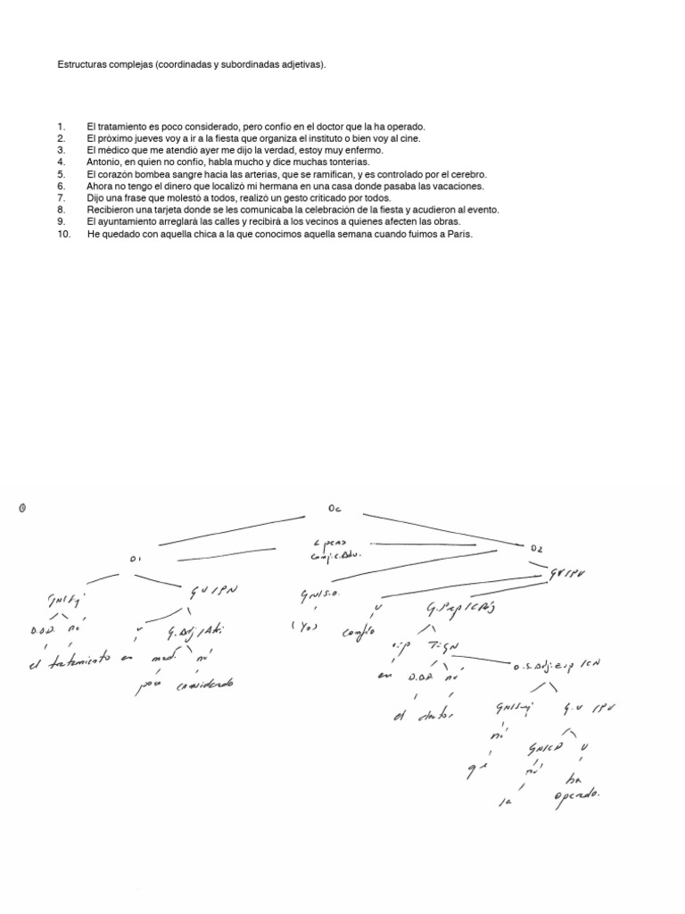 Estructuras Complejas Coor y Adj | PDF