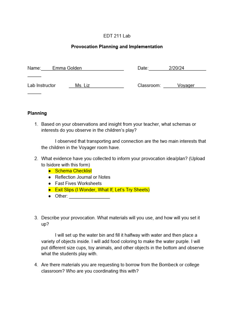 Provocation Planning for Children's Play | PDF | Cognition | Learning