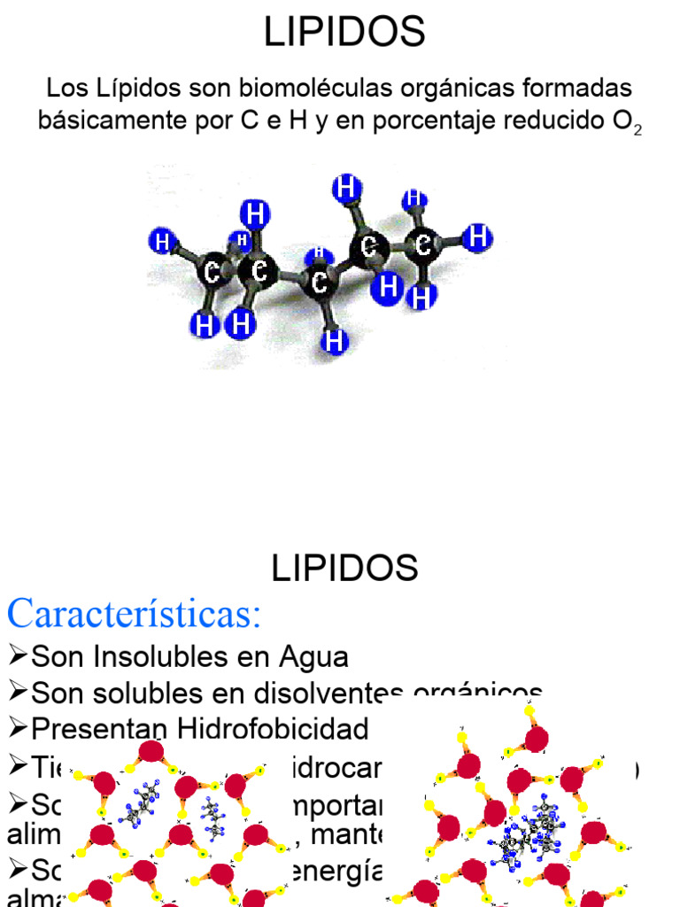 Generalidades Lipidos | PDF | Lípido | gordo