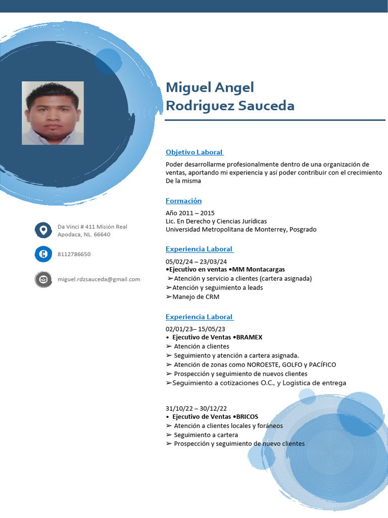 Ejecutivo de Ventas en Vallen y Absormex | PDF