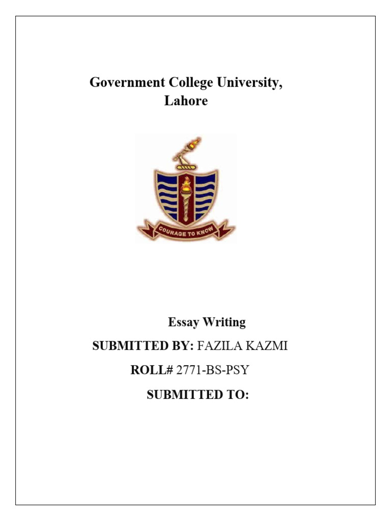 Essay Current Political Situation | PDF | Democracy | Political Ideologies