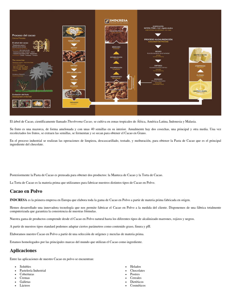 Processado Del Chocolate. INDCRESA | PDF | Cocina, comidas y vino