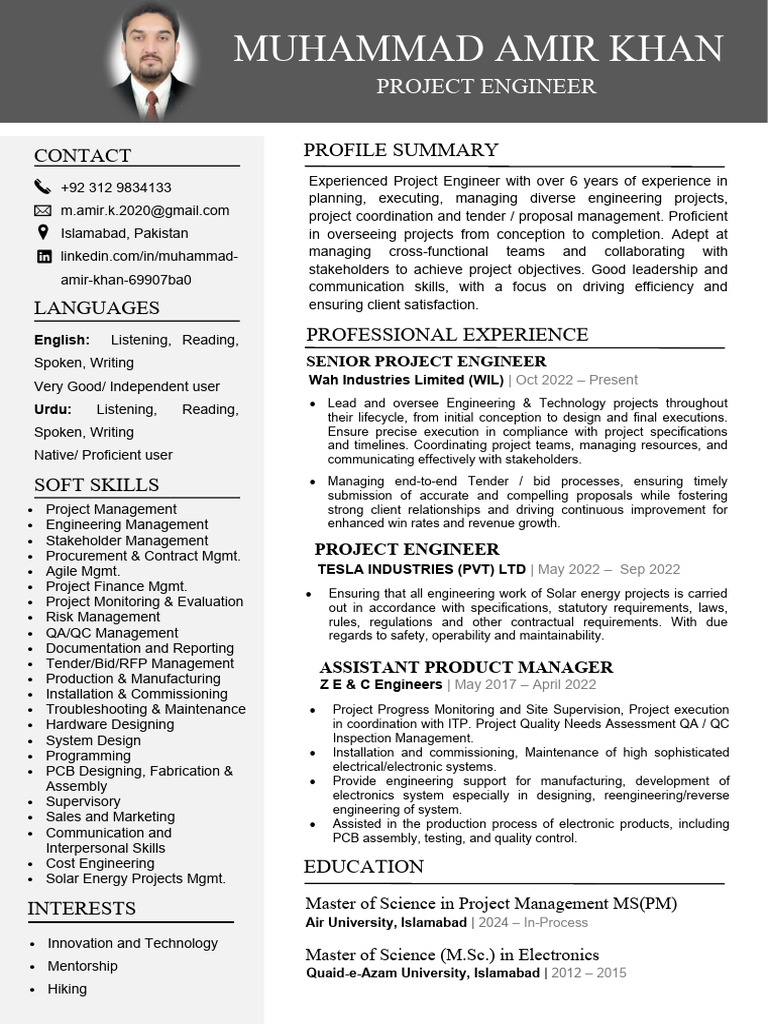 233 Executive Resume Example | PDF | Project Management | Engineering