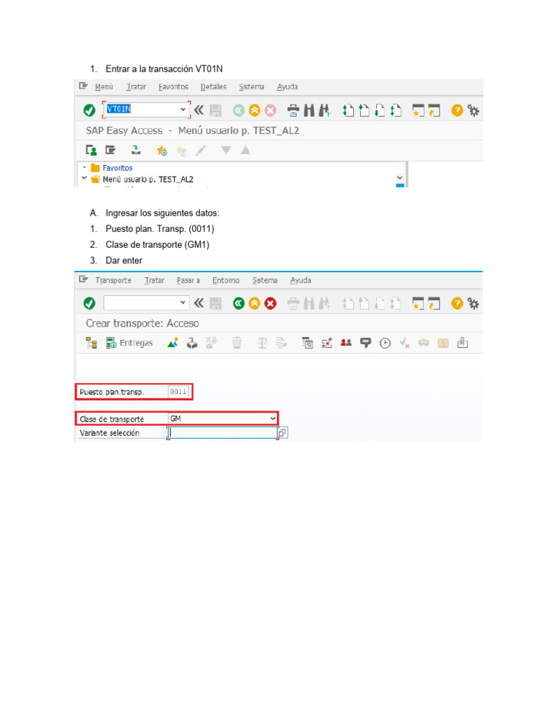 Entrar A La Transacción VT01N | PDF