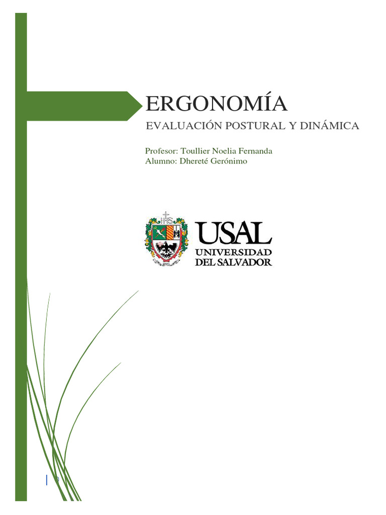 Ergonomía - TP Final | PDF | La columna vertebral | Pelvis