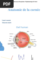 Anatomie et physiologie des glandes lacrymales | PDF | Anatomie humaine ...
