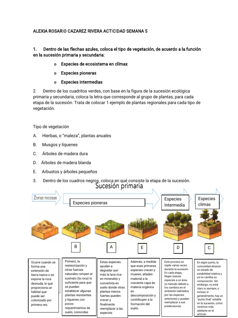 Arcr Act5 | PDF | Suelo | Ecosistema