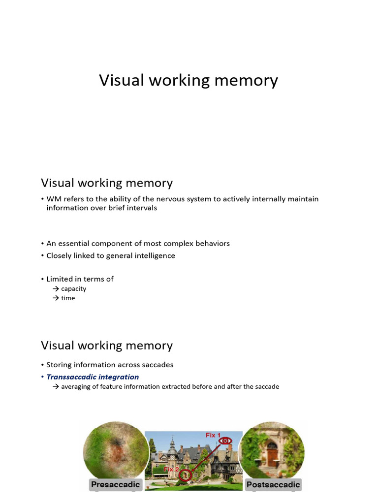 Visual Working Memory | PDF | Working Memory | Uncertainty