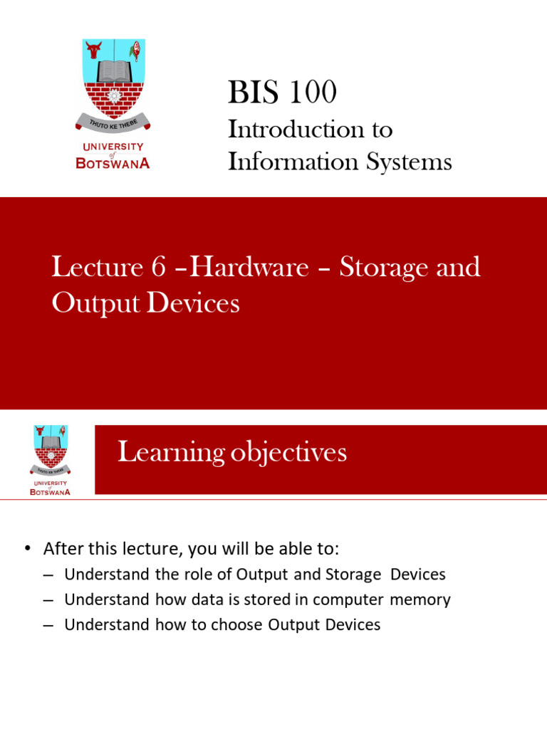 Storage & Output Devices Guide | PDF | Computer Data Storage | Printer ...