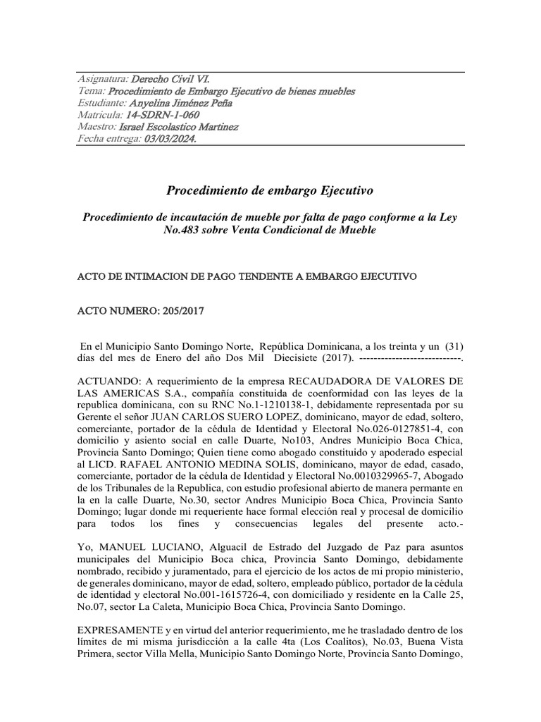 PROCEDIMIENTO EMBARGO EJECUTIVO - Anyelina Jimenez Peña | PDF ...