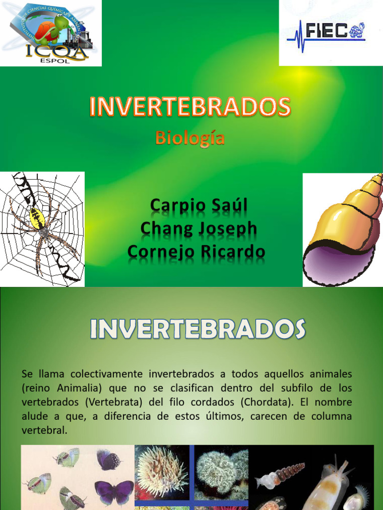 Clasificación y Características de Invertebrados | PDF | Invertebrado ...