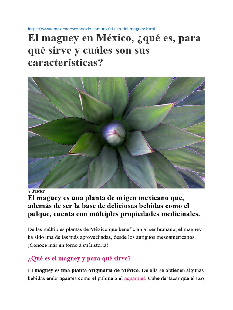 Maguey | PDF