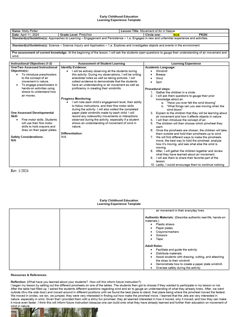 313 Lesson Plan | PDF | Early Childhood Education | Learning