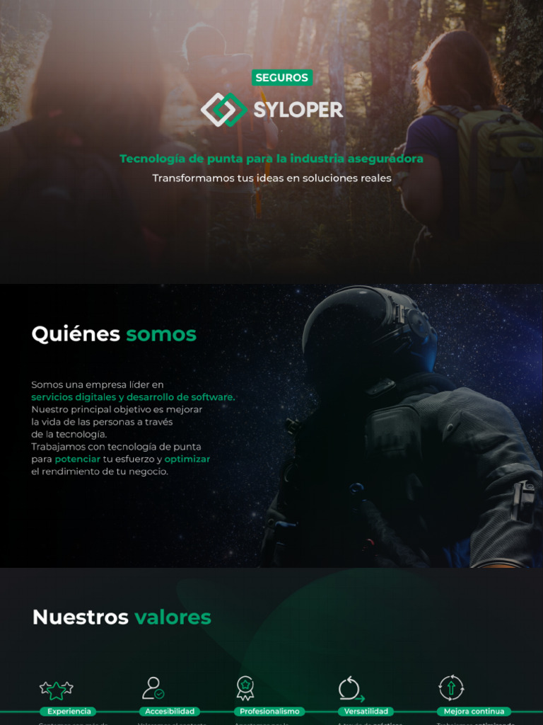 Syloper - Brochure Seguros | PDF