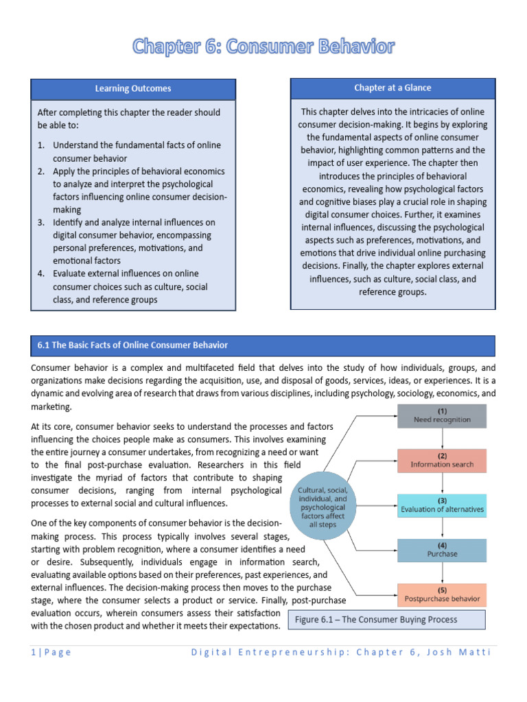 Chapter 6 Consumer Behavior | PDF | Consumer Behaviour | Behavioral Economics