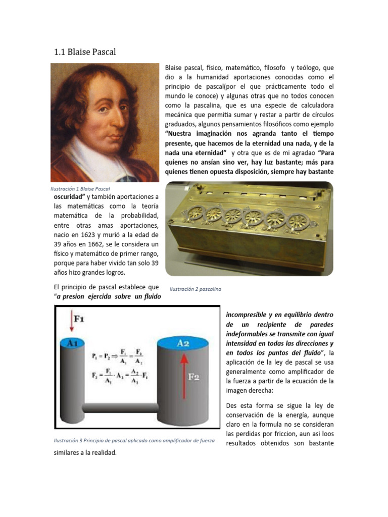 Aplicaciones del Principio de Pascal | PDF | Líquidos | Ingeniería mecánica
