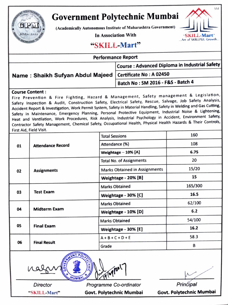 ADIS Result | PDF | Occupational Safety And Health | Safety