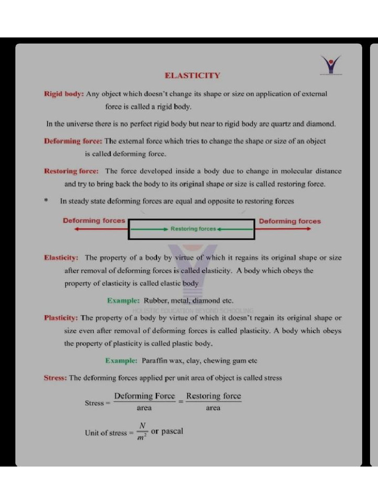 Elasticity | PDF