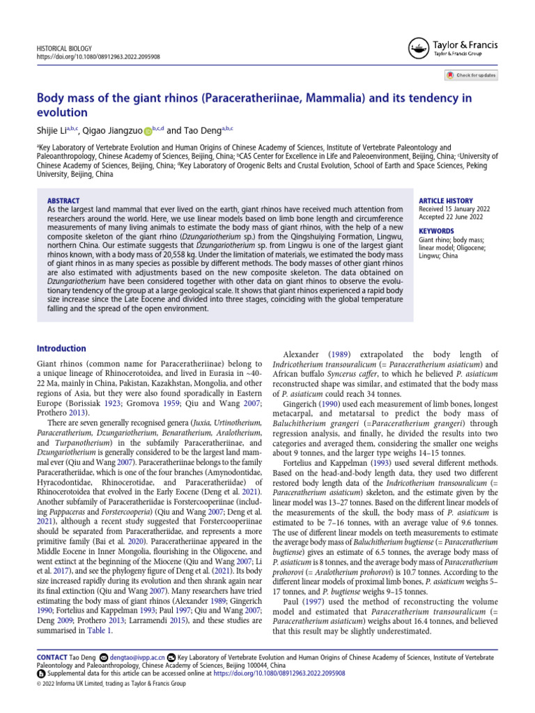 rhinos body scan | PDF