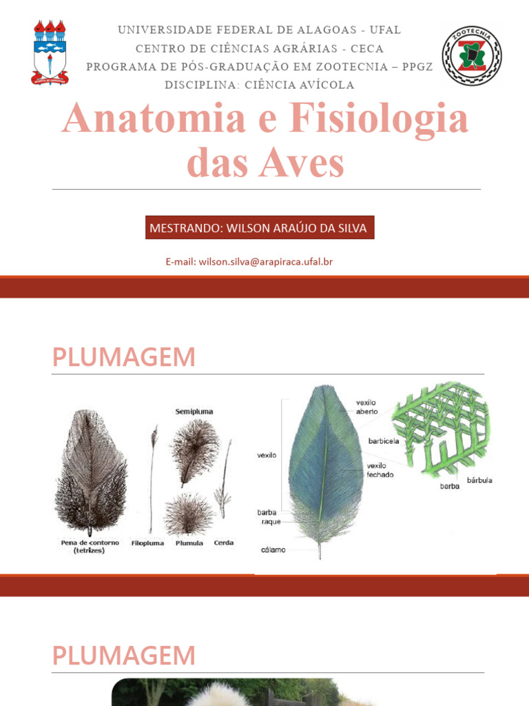 Anatomia e Fisiologia Das Aves | PDF | Sistema digestivo humano | Ovo