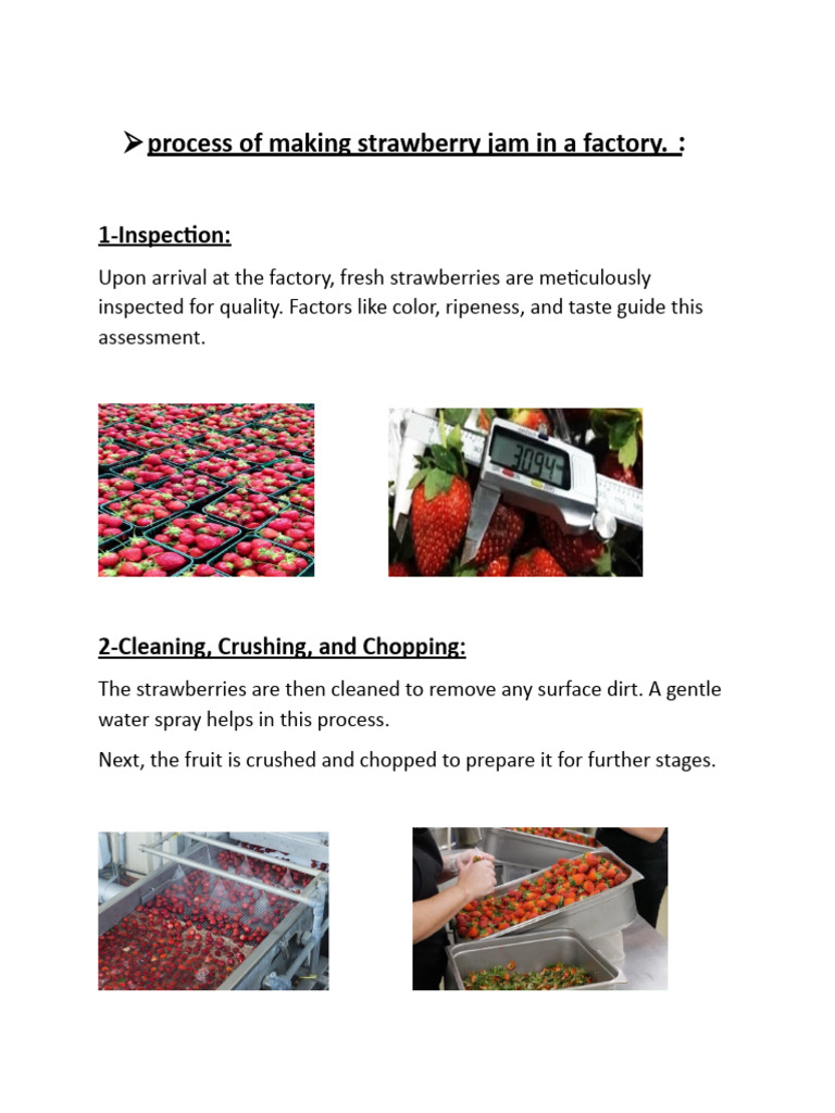 Strawberry Jam Production Process | PDF