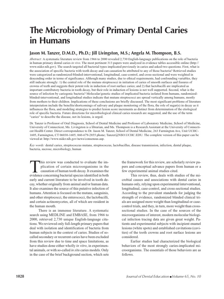 Primary Dental Caries in Humans | PDF