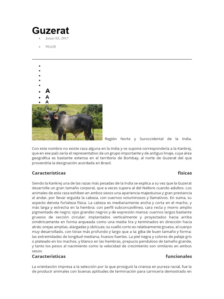 Raza Guzerat: Características y Origen | PDF | Vacas