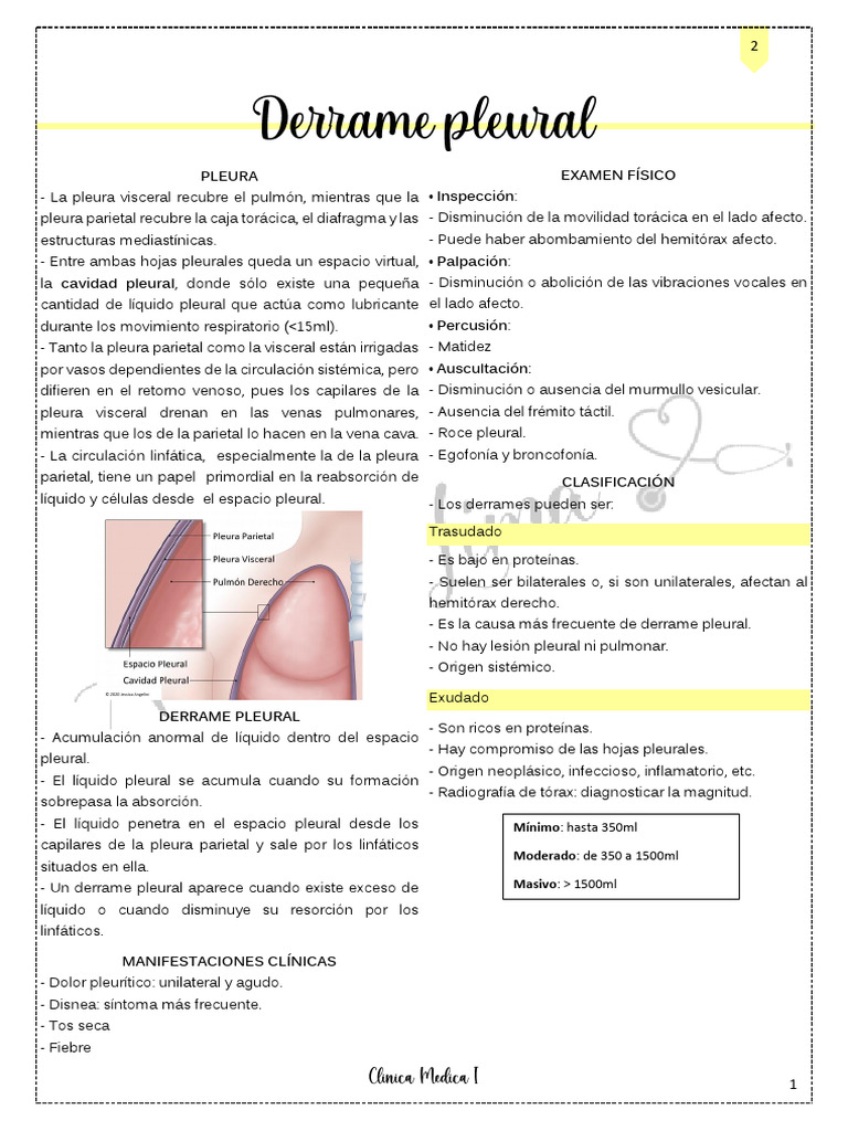 Diagnóstico y Manejo del Derrame Pleural | PDF | Medicina CLINICA ...