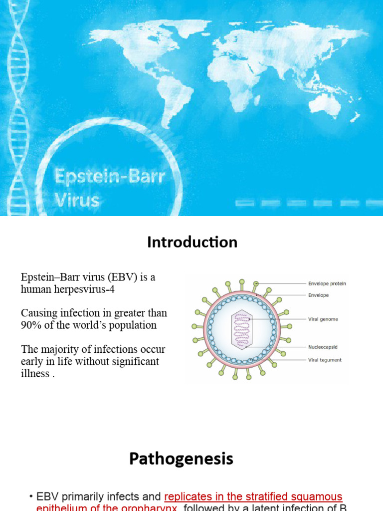 EBV | PDF | Viral Diseases | Epidemiology