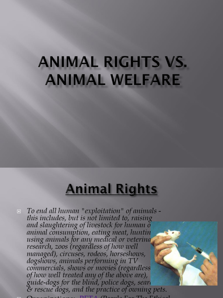 Animal Rights Vs Animal Welfare | Download Free PDF | Animals And ...