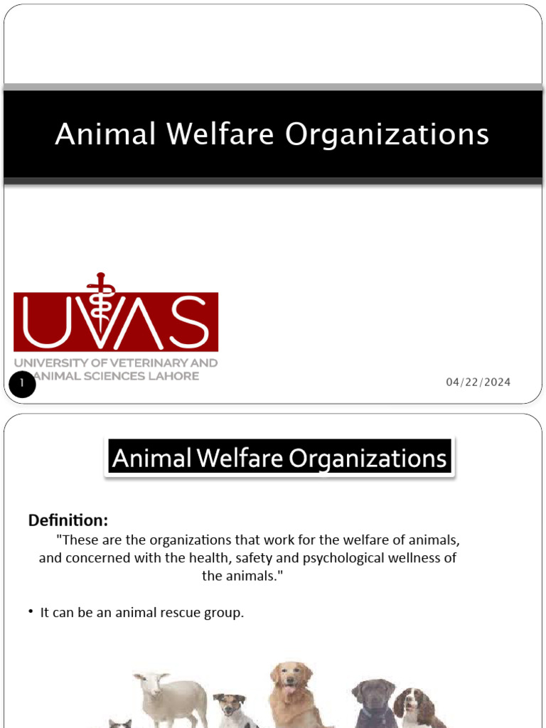 Animal Welfare Organizations | PDF | Animal Welfare | Animals And Humans