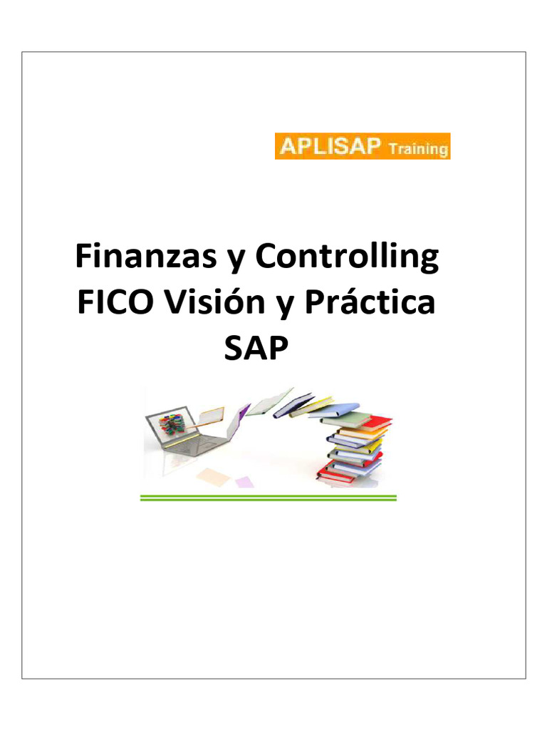 Finanzas y Controlling FICO Visión y Práctica SAP | PDF | Contabilidad ...