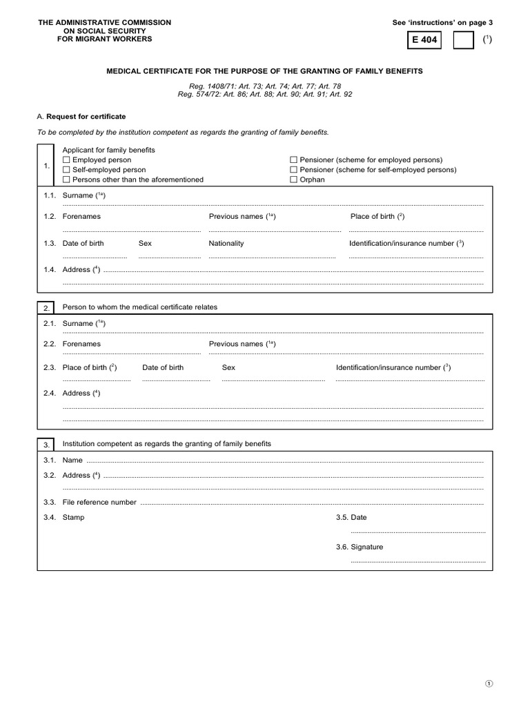 E404_EN | PDF | Identity Document