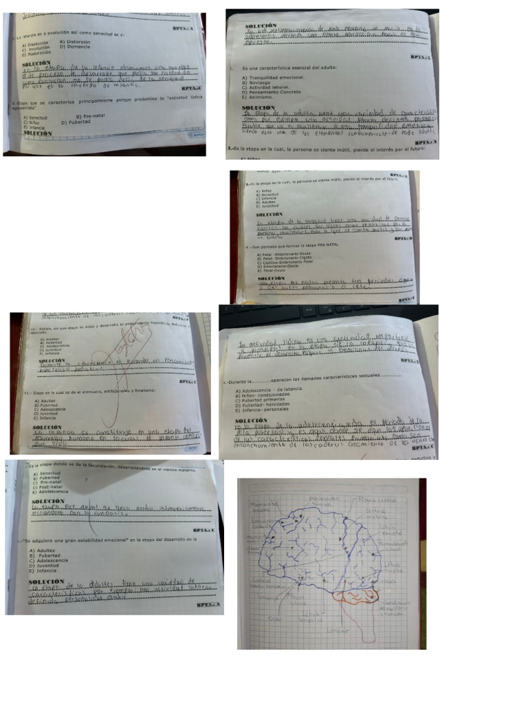 Dpcc 2 Bimestre 3 Pdf