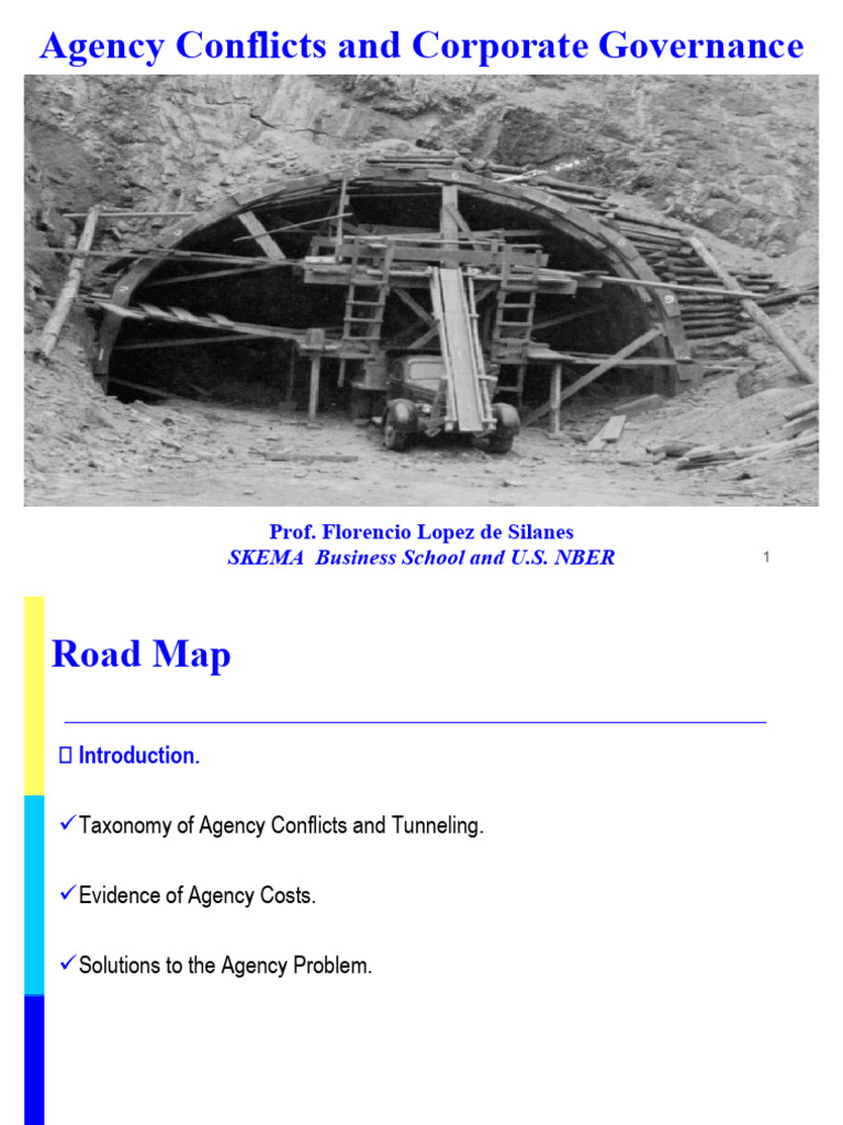 Agency Conflicts & Governance Analysis | PDF | Corporate Governance | Dividend