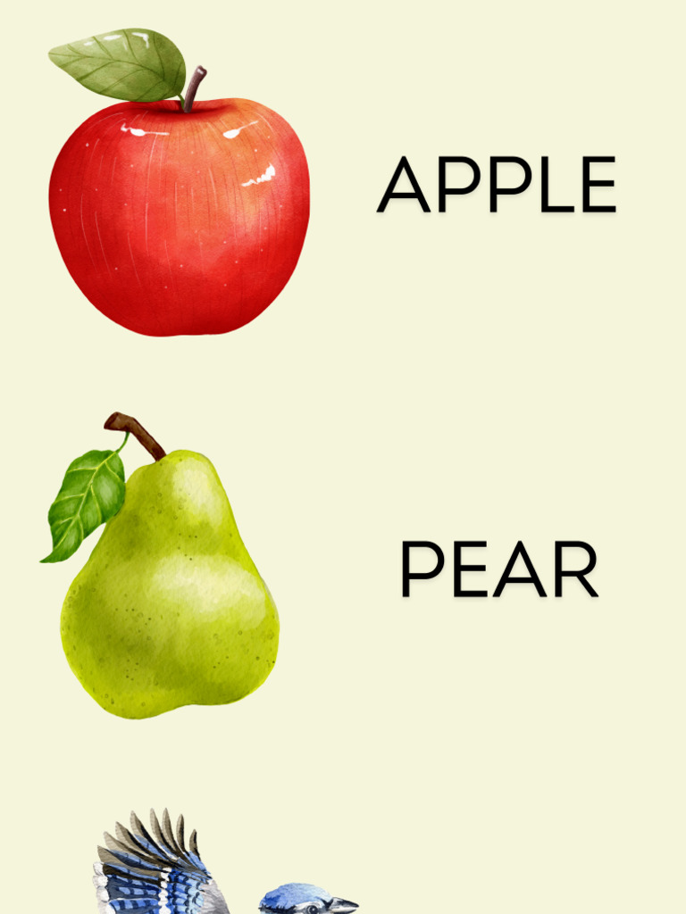 How Many... (Flashcards) PDF | PDF