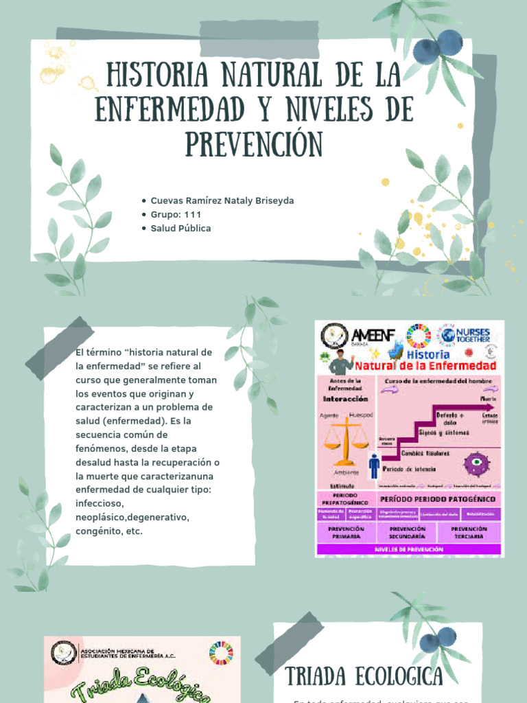 Historia Natural de La Enfermedad y Niveles de Prevención | PDF | Comportamiento | Medicina CLINICA