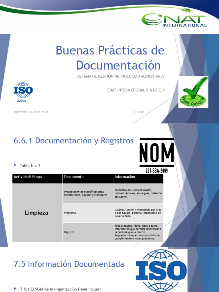Buenas Prácticas de Documentación | PDF | Informática