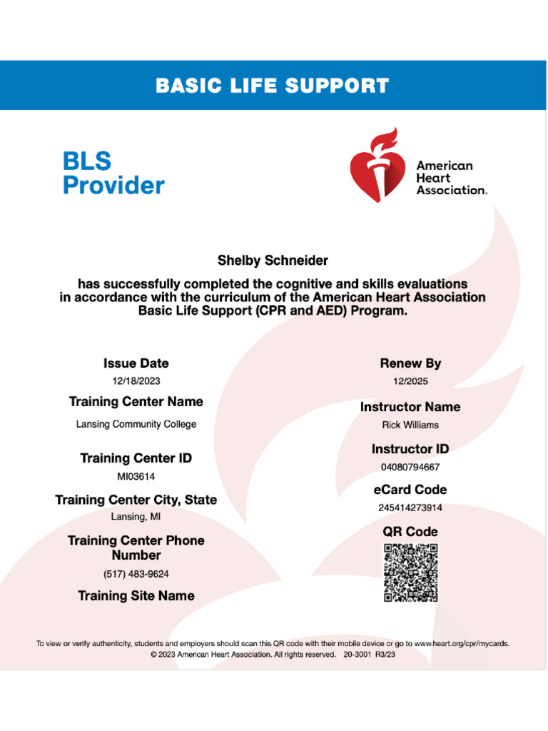 Bls 2024 | PDF