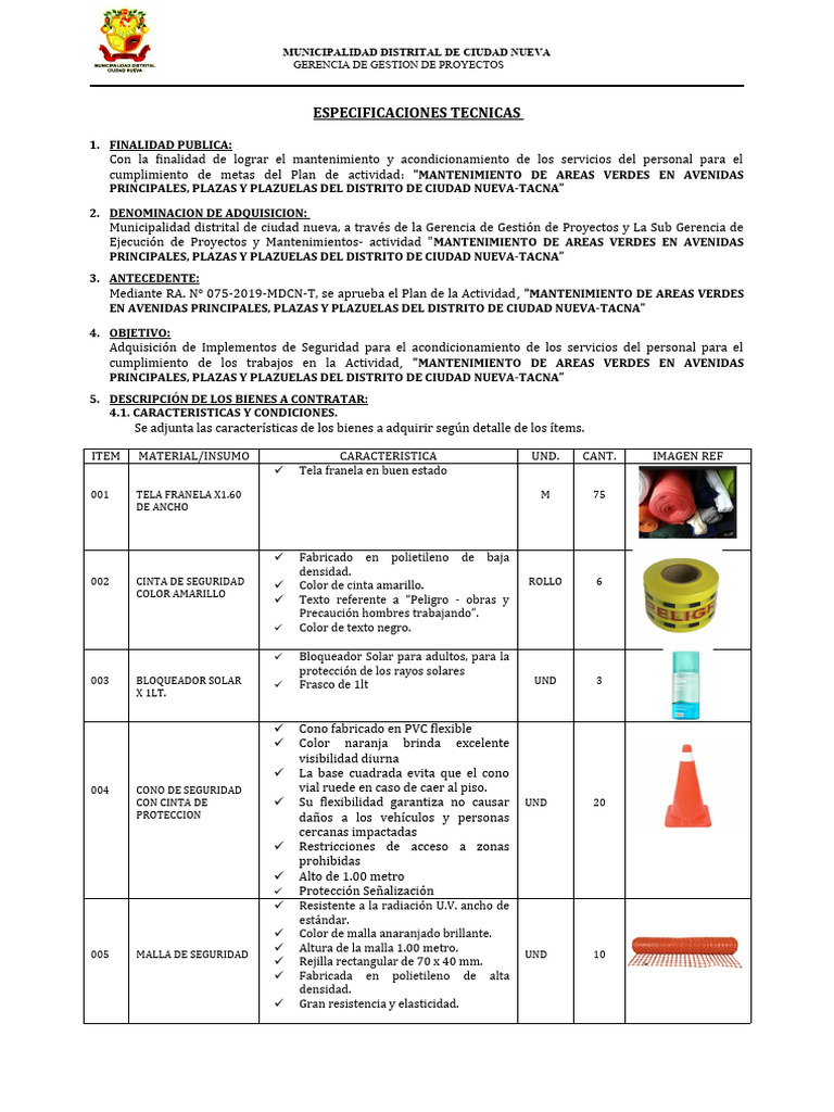 TDR - Seguridad - Obrero - MDCN | PDF | Tecnología