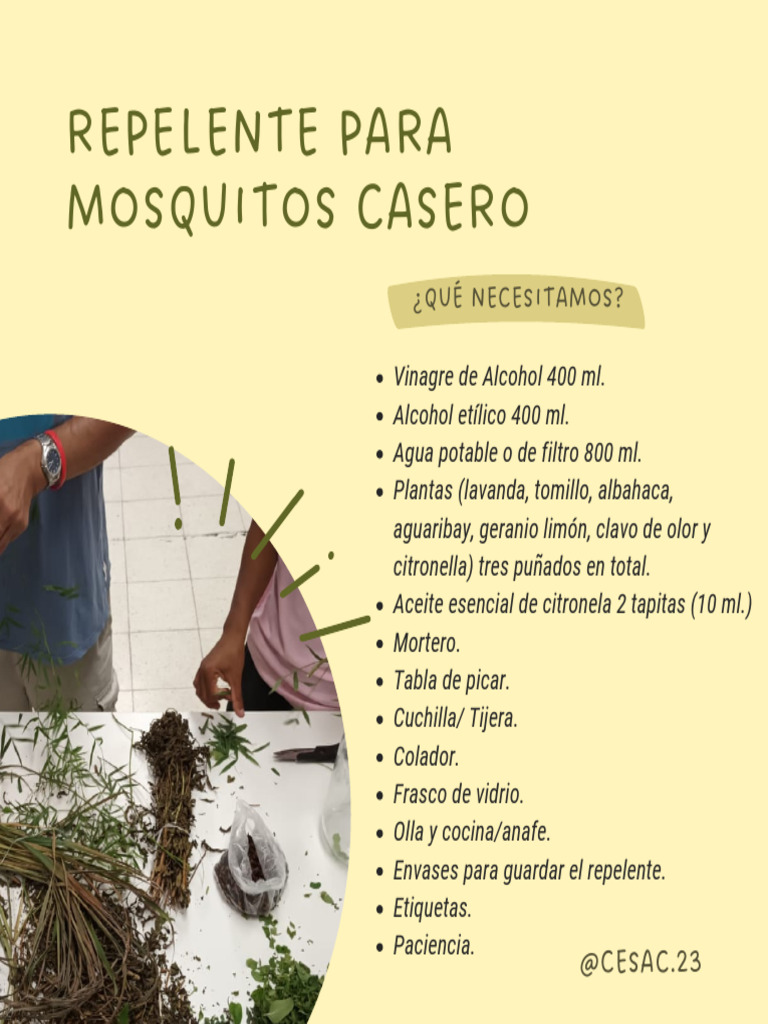 Receta de Repelente Casero - CeSAC 23 | PDF | Cocina, comidas y vino