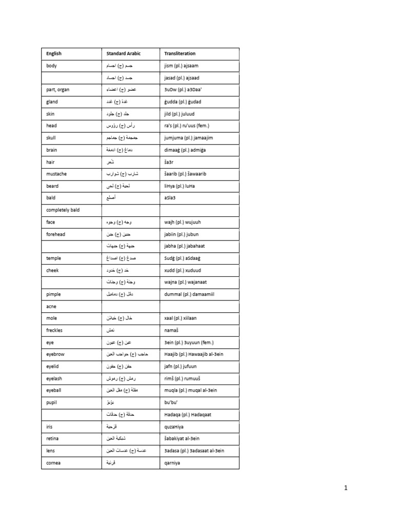 Body parts in Arabic | PDF